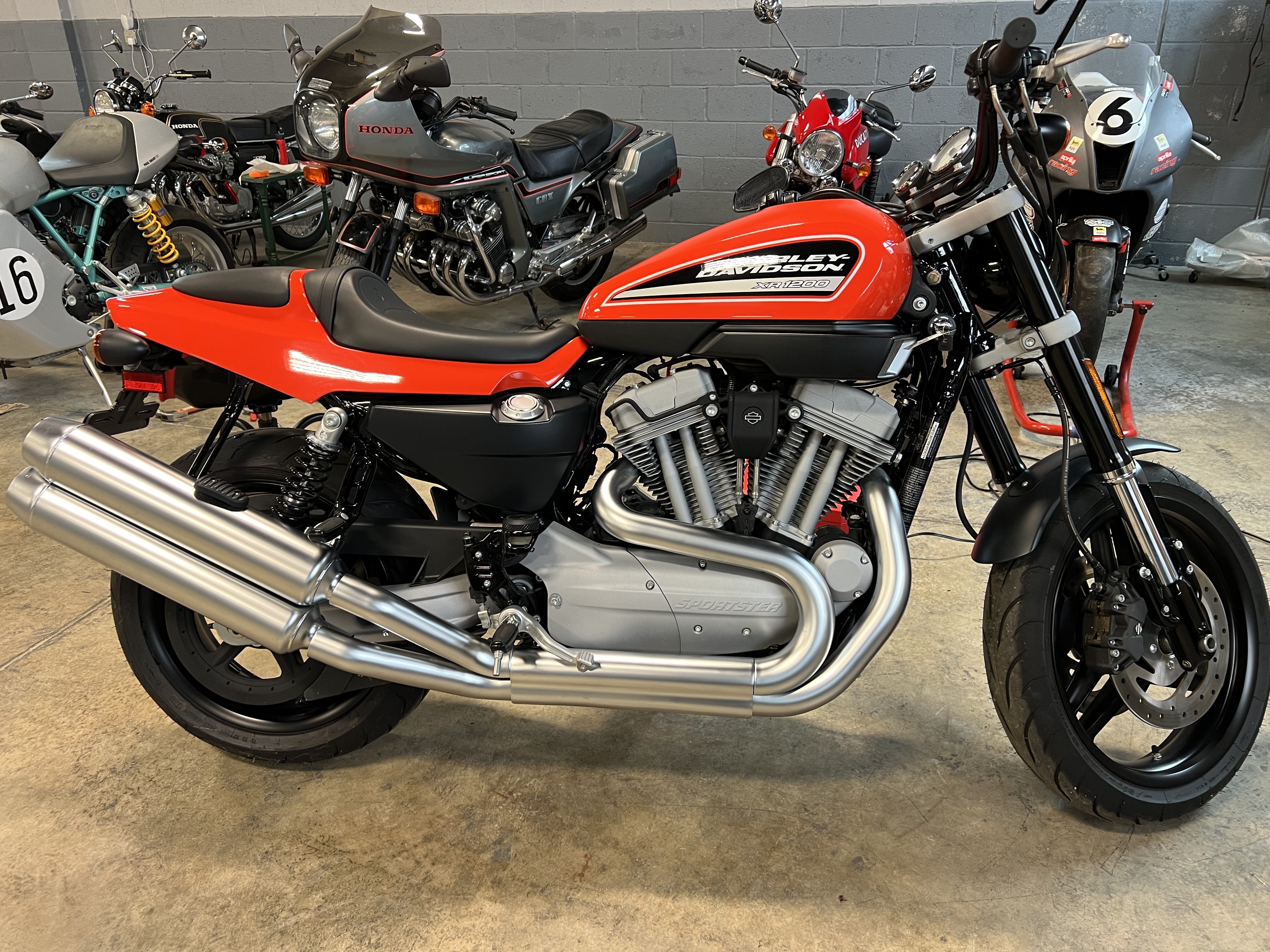 Harley Xr1200 For Sale