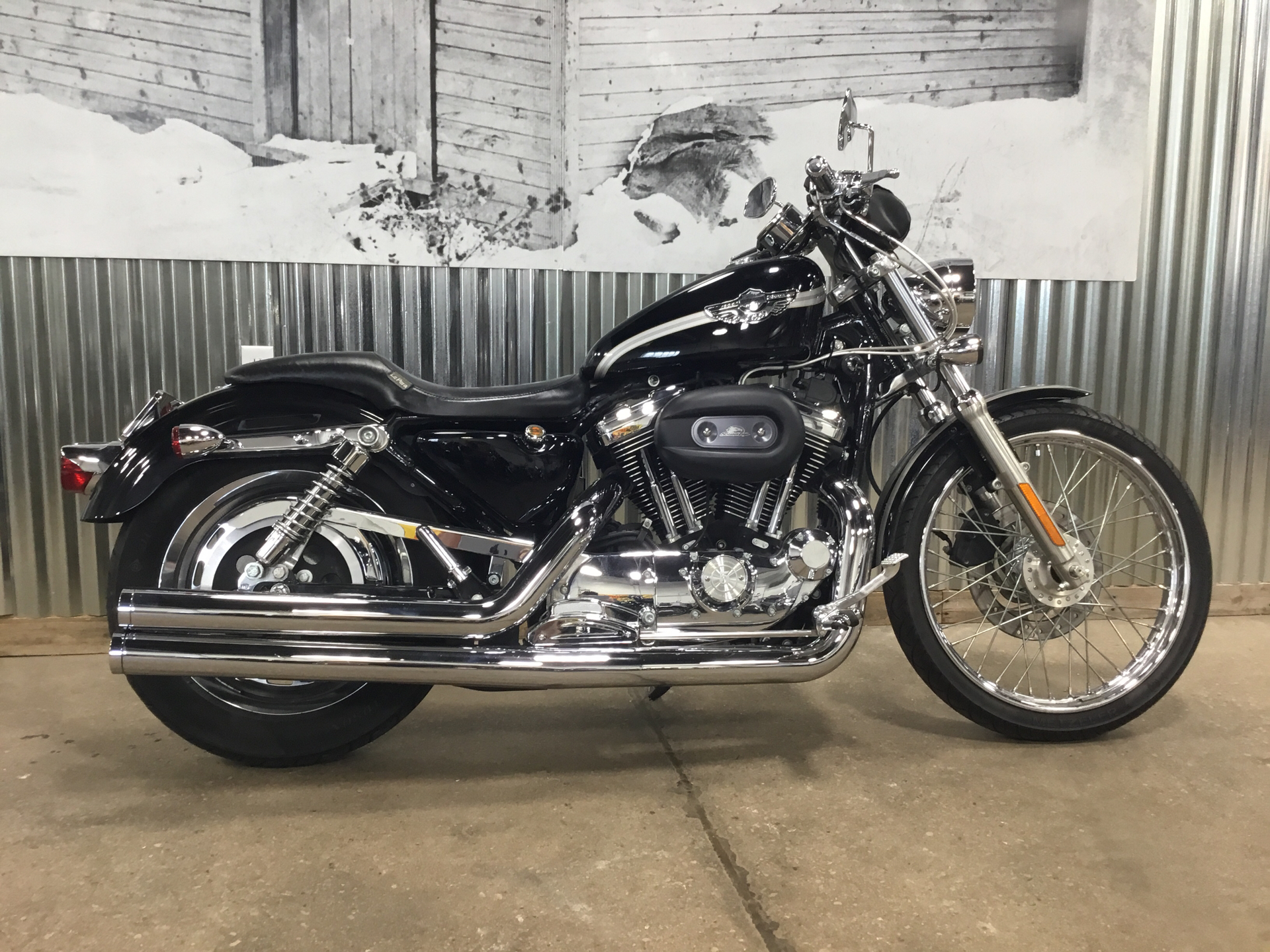 2003 Harley Sportster 1200 Custom